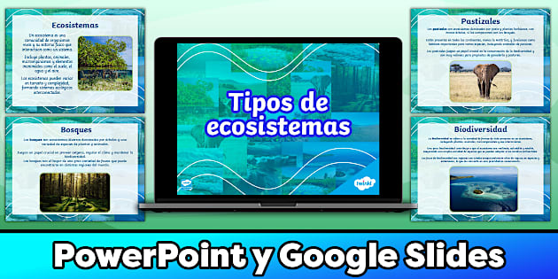 PowerPoint y Google Slides 3°-5° grado: Tipos de ecosistemas