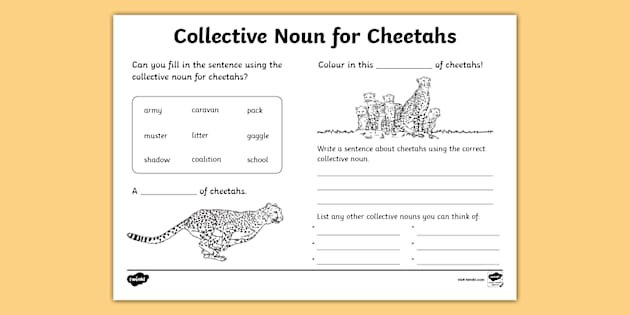 Collective Noun for Cheetahs Worksheet