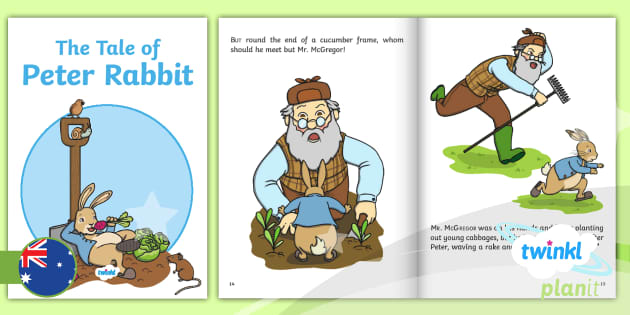 Year 2 The Tale of Peter Rabbit eBook (teacher made)