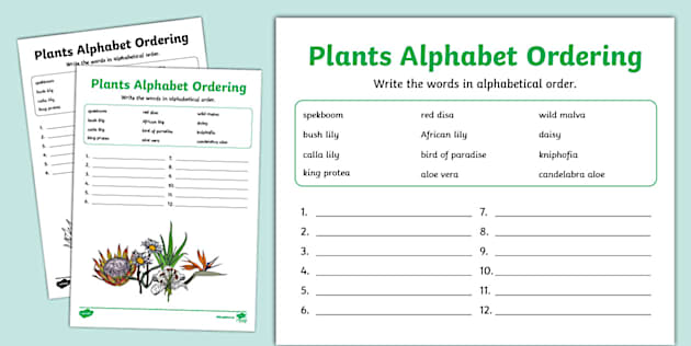 Plants Alphabet Ordering Worksheet - Twinkl
