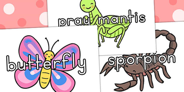 Minibeasts Cute Topic Words on Topic Images (Teacher-Made)