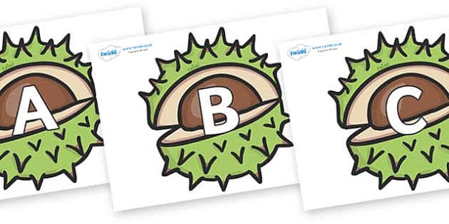 A-Z Alphabet on Conker Shells (teacher made) - Twinkl