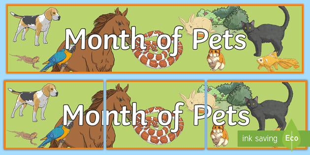 National Pet Month Display Banner - KS2 National Pet Month (April 2017)