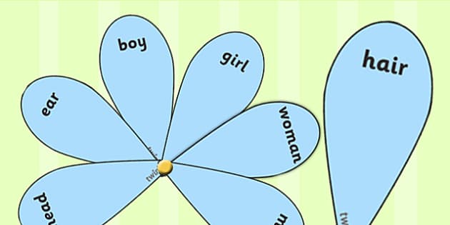 FREE! - EAL My Body with English Word Fans (teacher made)