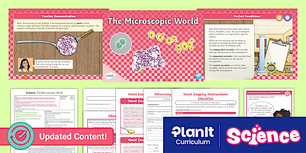 Y6 Living Things and Their Habitats The Microscopic World Lesson 4