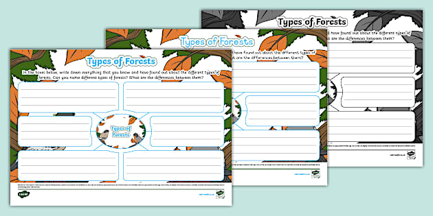 Foundation Phase - English - Writing -Worksheet:Types of Forests Mind Map