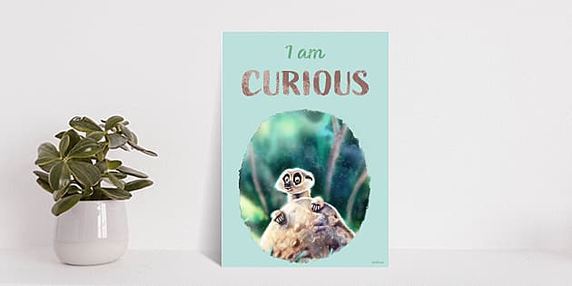 Curious Motivational Postcard | Twinkl Party (teacher made)