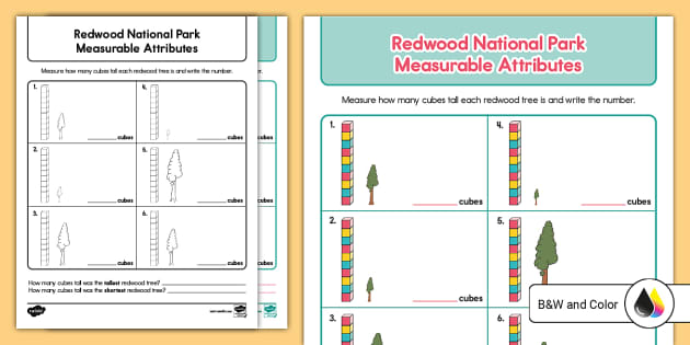 Redwood National Park Worksheet for Kids | Twinkl USA Redwood National Park Worksheet for Kids | Twinkl USA