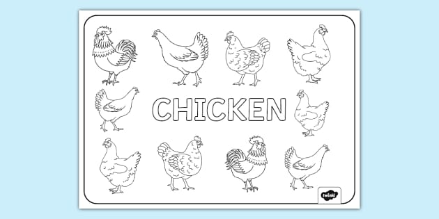 Chicken Doodle Colouring Page (Teacher-Made) - Twinkl