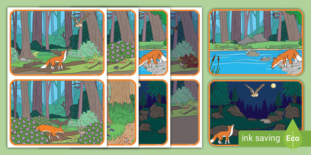 Little Fox Woodland Sensory Story Sequencing Cards | Twinkl