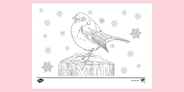 Christmas Bird Coloring Pages