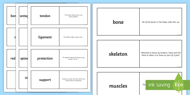 Skeleton and Muscle Loop Cards - Twinkl