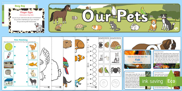 Childminder Pets EYFS Resource Pack (teacher made)