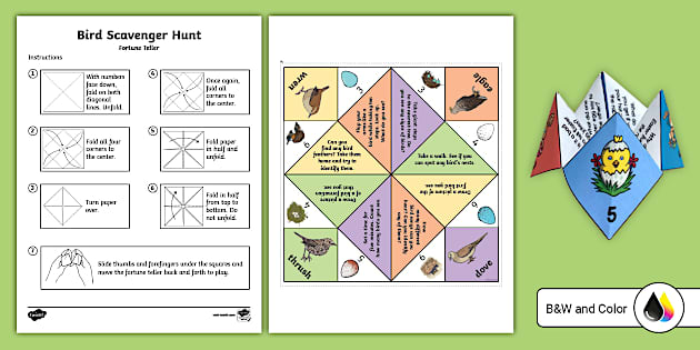 Bird Scavenger Hunt Fortune Teller (teacher made) - Twinkl