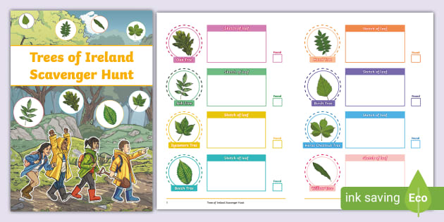 Trees of Ireland Scavenger Hunt. (teacher made) - Twinkl