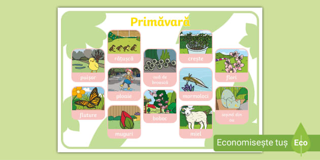 Planșă cu imagini și cuvinte de primăvară | Twinkl România