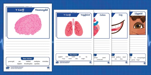 Y Corff: Fframiau Ysgrifennu Rhannau'r Corff (Teacher-Made)