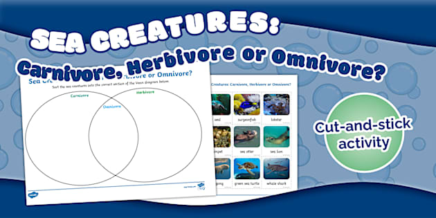 Omnivore, Carnivore or Herbivore Sea Creature Venn Diagram Sorting ...