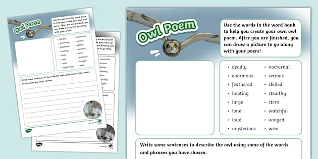 Owl Poem Writing Template (professor feito) - Twinkl