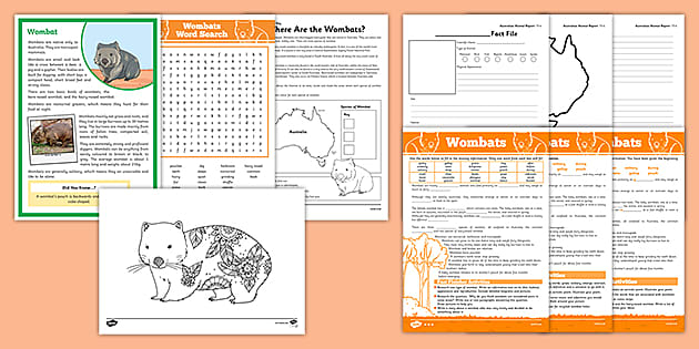Wombat Resource Pack (teacher made) - Twinkl