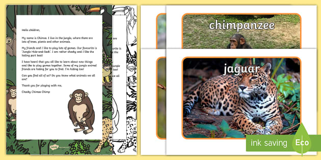 Cheeky Chimp Jungle Animals Letter and Resource Pack