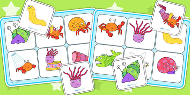 FREE! - Matching Mat SEN to Support Teaching on Sharing a Shell