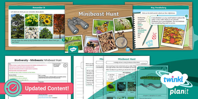Science: Biodiversity - Minibeasts: Minibeast Hunt Year 2 Lesson 1