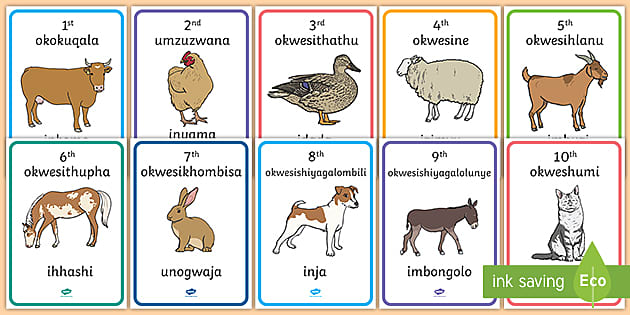 FREE! - Ordinal Farm Animals - Izilwane Ezijwayelekile Zepulazi