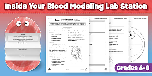 Hands-On Circulatory System: Blood Modeling Lab Station