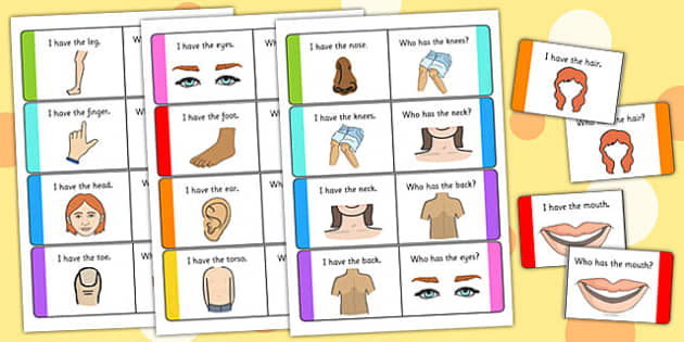 Parts of the Body Loop Cards (Hecho por educadores) - Twinkl