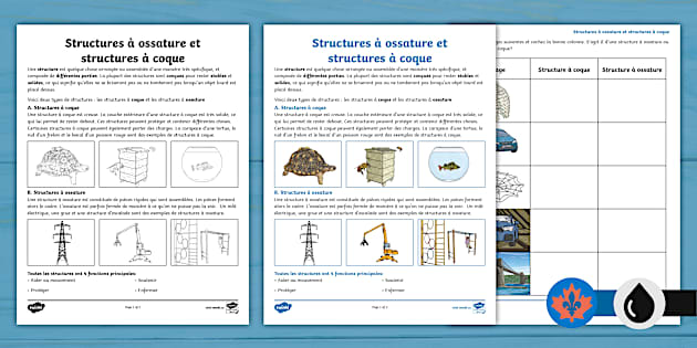 Frame Structures and Shell Structures French - Twinkl