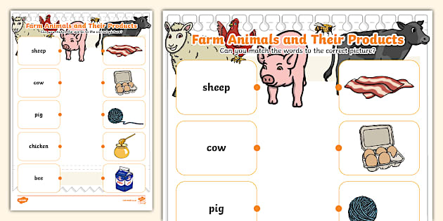 Farm Animals and Their Products Matching Worksheet