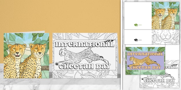Cheetah Themed Greeting Cards Pack | Twinkl Party - Twinkl