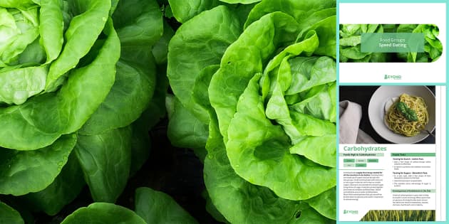 Food Groups | KS3 Science | Nutrition and Digestion | Beyond