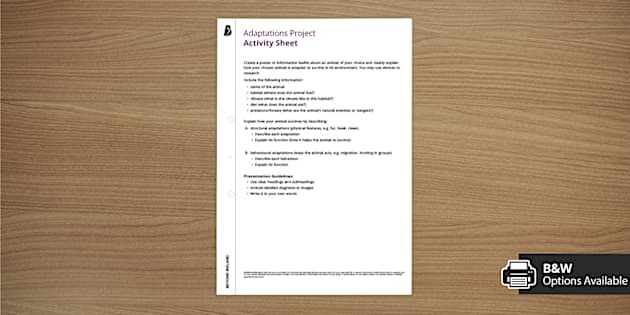 Adaptations Project