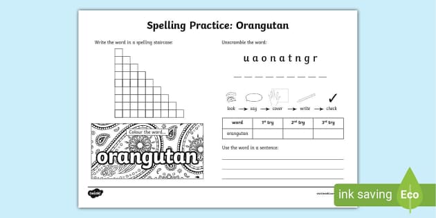 Orangutan Spelling Practice Worksheet