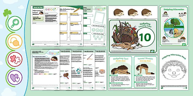 Winter Hibernation - Hedgehogs Plan and Play Pack - Twinkl