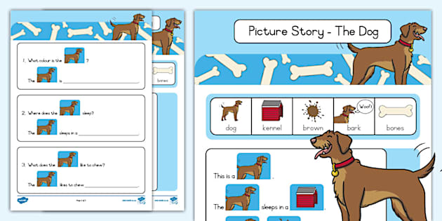 Picture Story - The Dog (Teacher-Made) - Twinkl