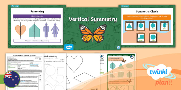 Level 1 Transformation: Identify Lines of Symmetry Lesson 1