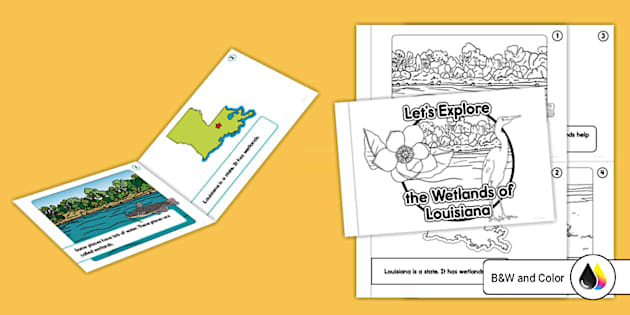 Louisiana Wetlands Printable Book (teacher made) - Twinkl