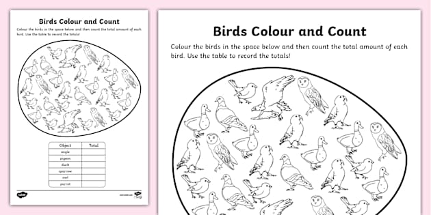 👉 Birds Colour and Count Worksheet (teacher made)