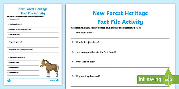 New Forest Heritage Fact File Activity | Printable Resource