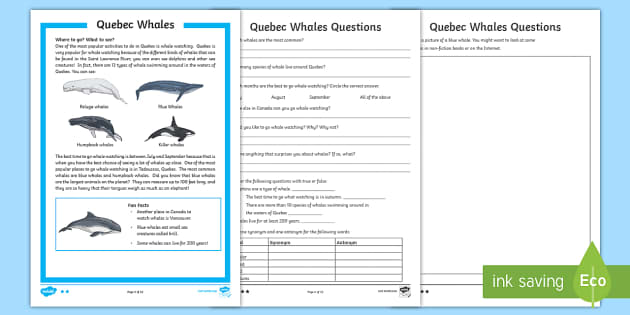 Quebec Whales Differentiated Reading Comprehension Activity