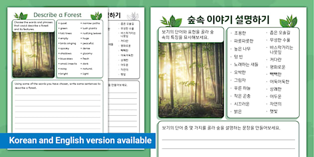 숲속 이야기 꾸며주는 말 글쓰기 활동 Describe a Forest Worksheet