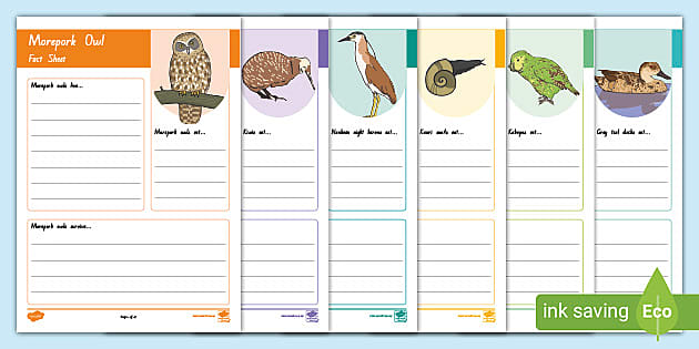 New Zealand Animals Fact File Worksheet / Worksheets, worksheet