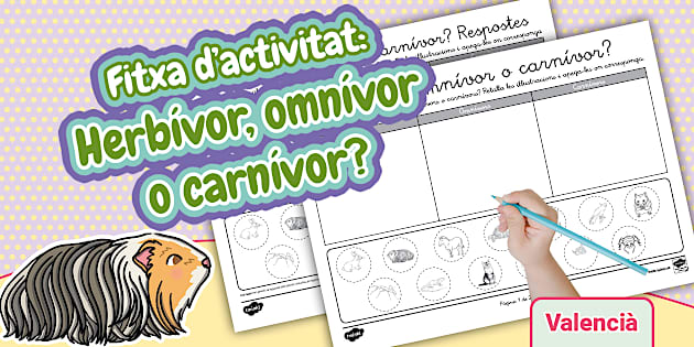 Fitxa d'activitat: Herbívor, omnívor o carnívor? - Valencià