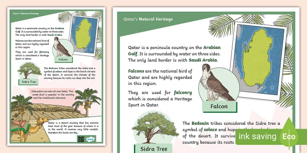 KS2 Qatar's Natural Heritage Information Poster
