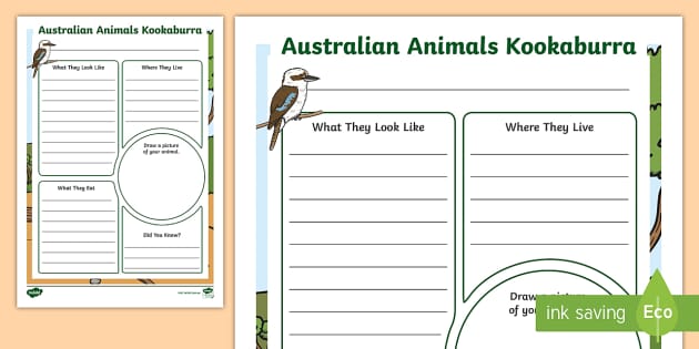 Australian Animals Kookaburra Information Report Writing Template