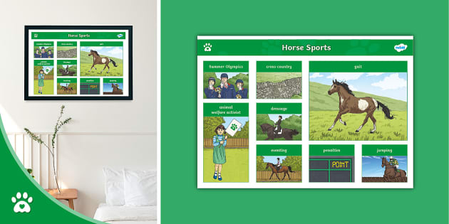 Horse Sports - Word Mat - Equestrian Sports - Twinkl Pets