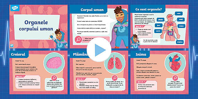 Organele corpului uman – PowerPoint - Twinkl